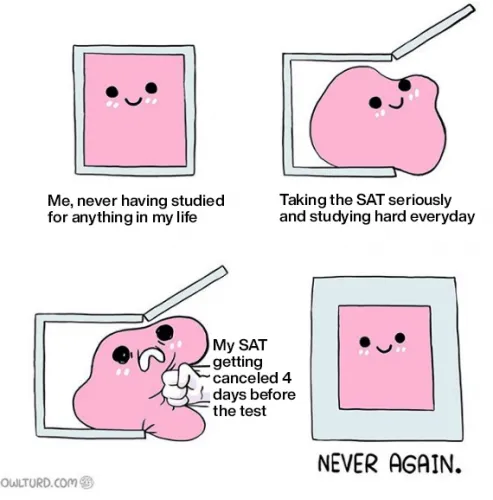 SAT Memes and PSAT Memes | SoFlo SAT Tutoring